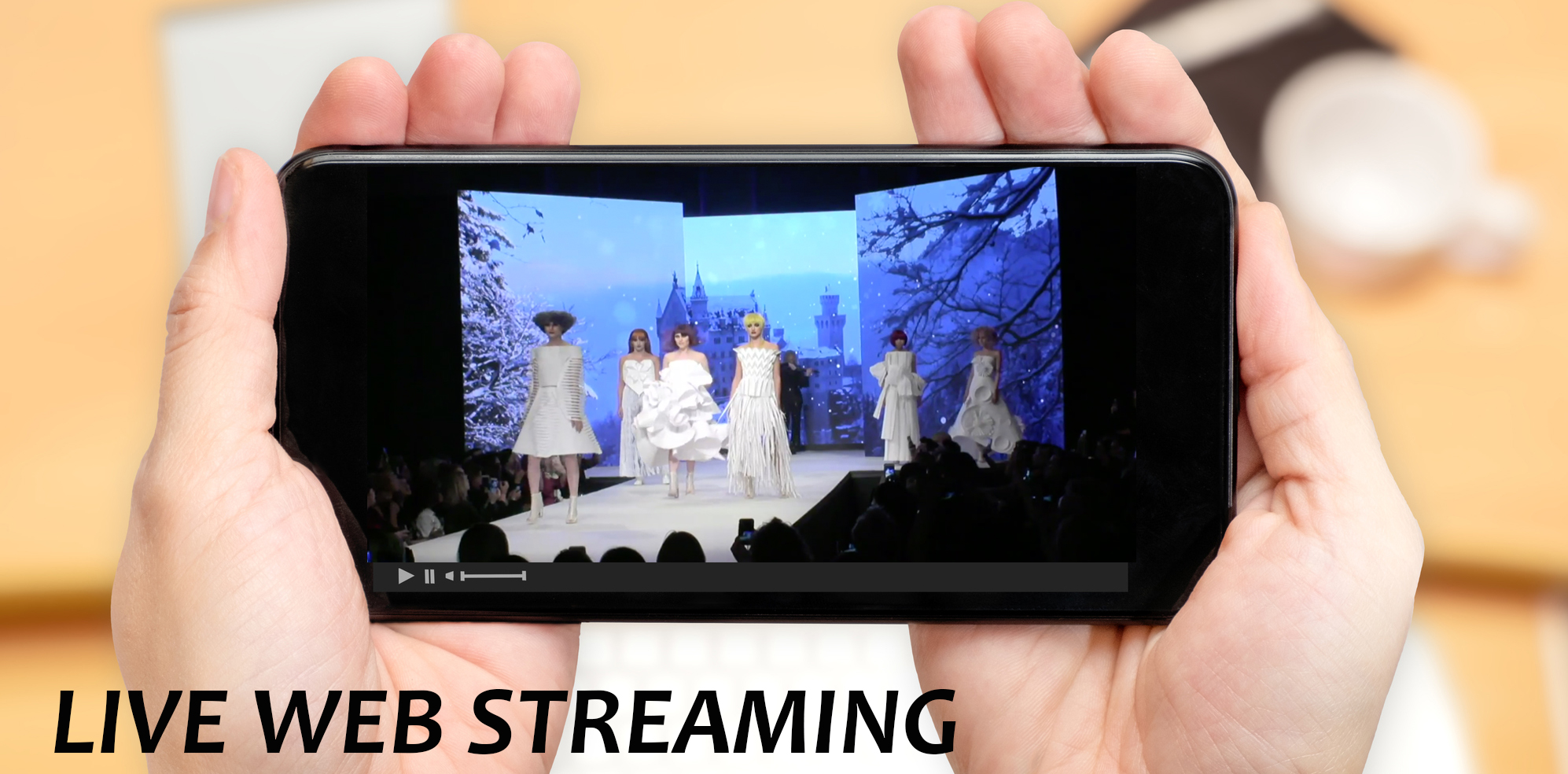 Web Streaming | Digital Advertising | Show Production